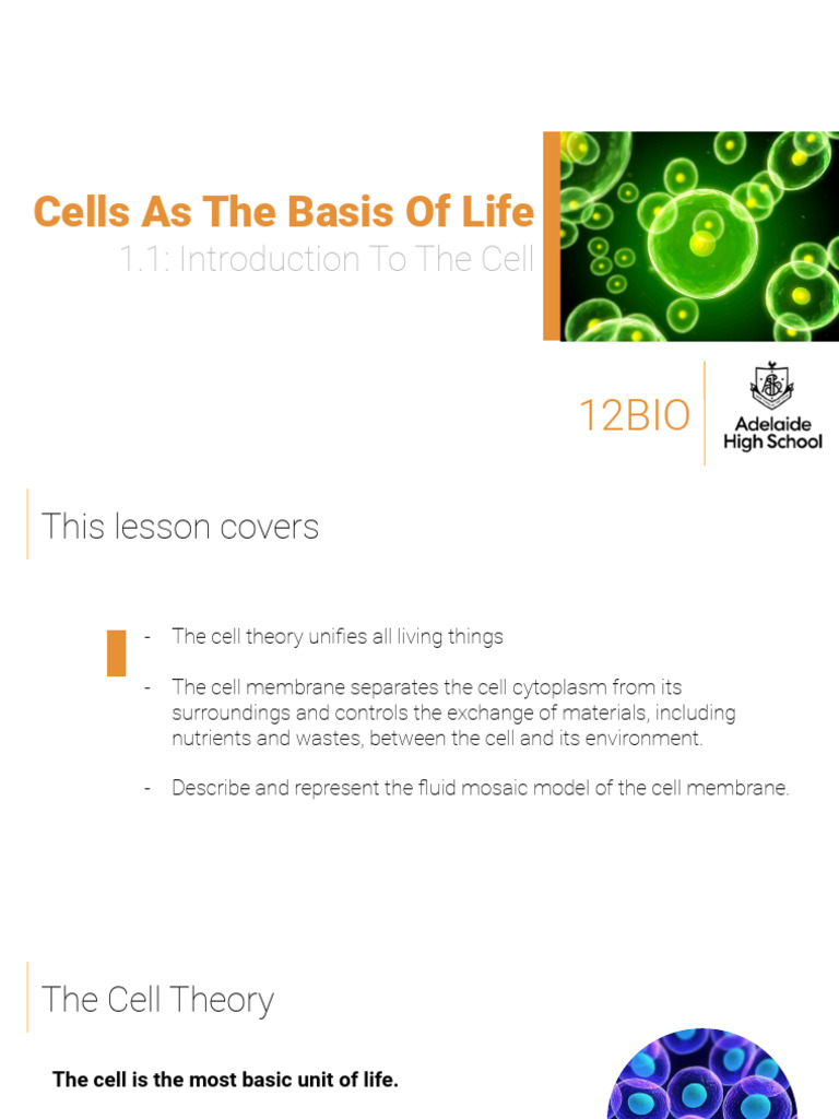 1.1 Introduction To The Cell 12BIO | PDF | Cell Membrane | Cell (Biology)