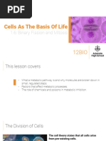 GCSE Biology - The Nervous System - Reflex Arc - Worksheet | PDF ...