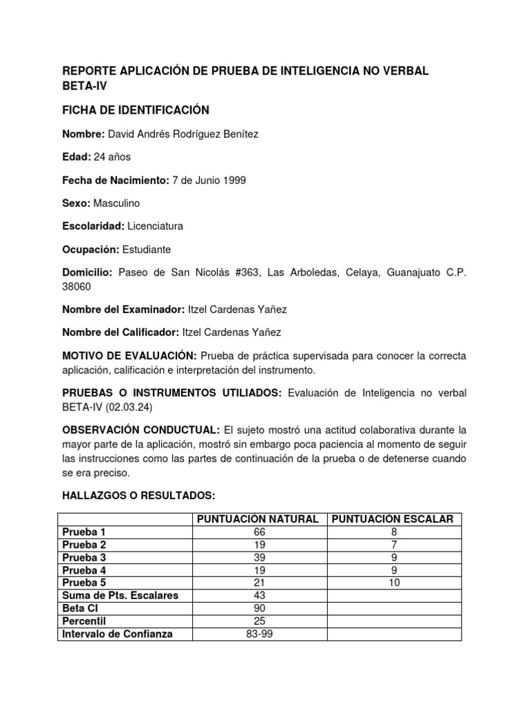 Reporte Beta-Iv | PDF
