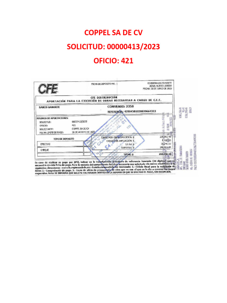 Coppel Eva Samano Reporte | PDF