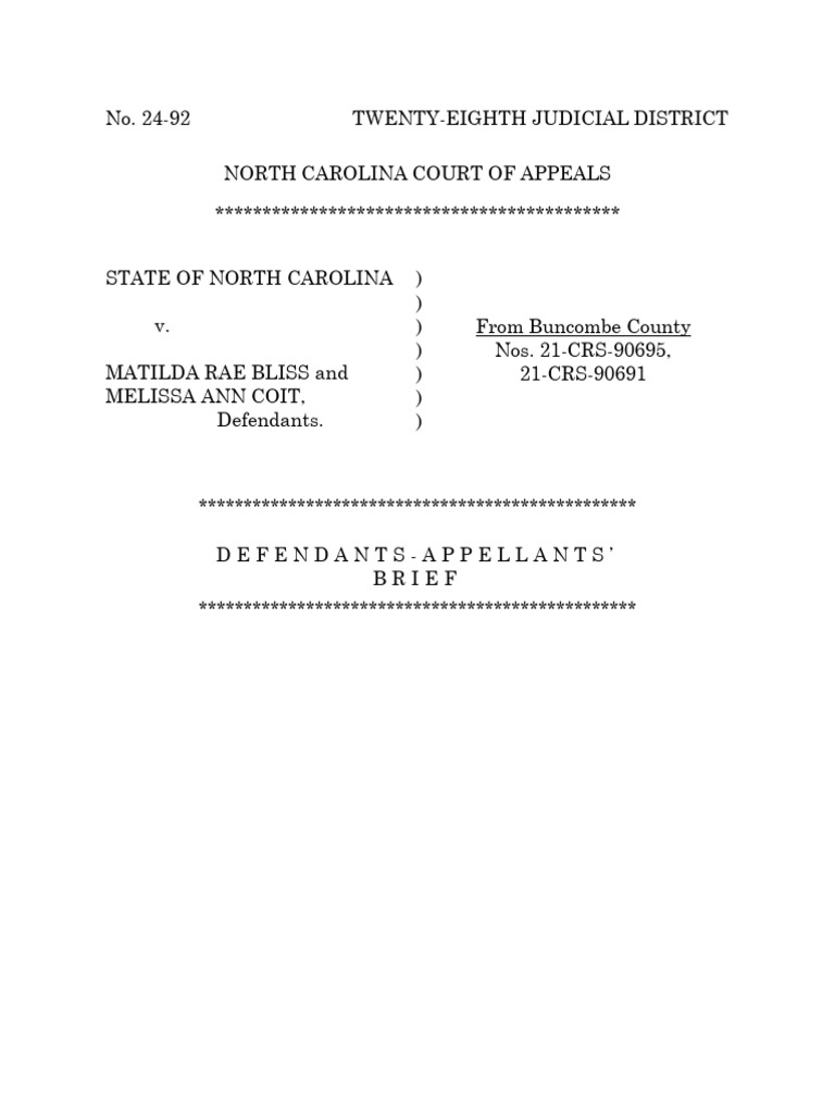 Defendants' Appeal Brief: First Amendment & Jury Error | PDF | First ...