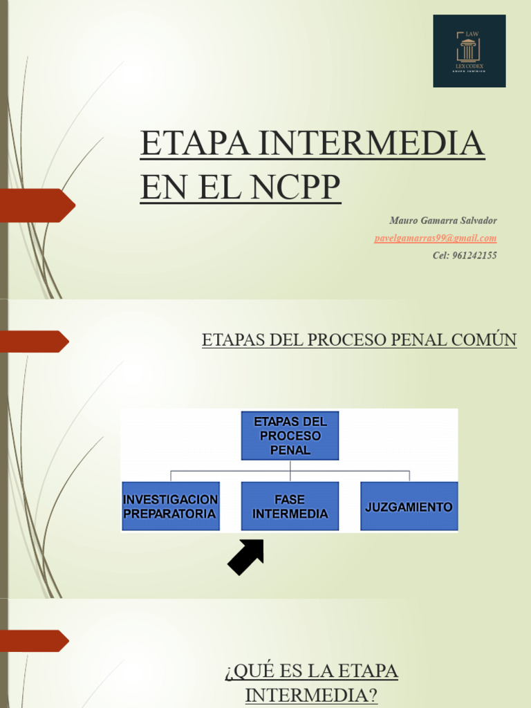 Etapa Intermedia | PDF
