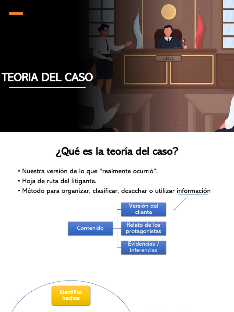 Teoria Del Caso | PDF Teoria Del Caso | PDF