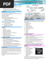 Guía de Cervicometría FECOPEN | PDF | Parto prematuro | Parto