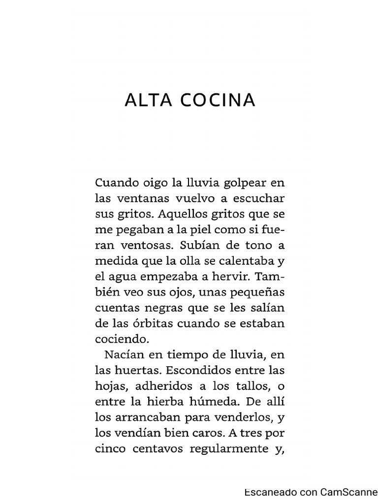 Alta Cocina. Amparo Dávila | PDF