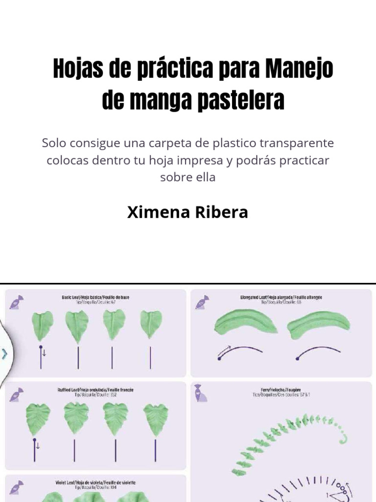 Hojas de Práctica para Manga Pastelera | PDF | Salud y bienestar