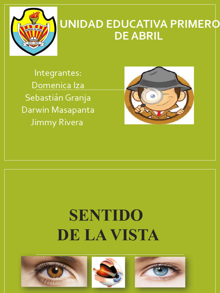 Sentido de La Vista 4° Medio | PDF | Ojo humano | Percepción visual