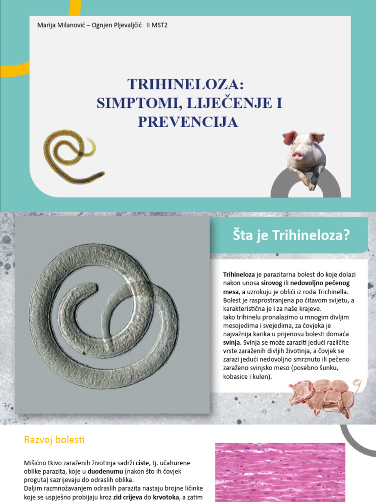 Trihineloza | PDF
