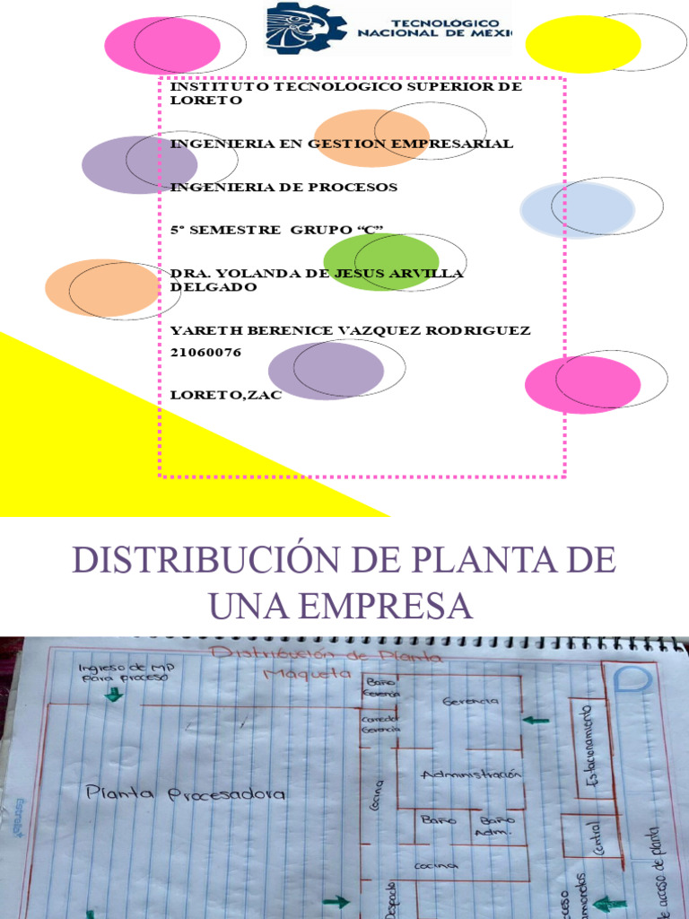 PLANTA | PDF