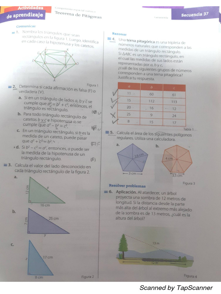 Actividad Matematicas Teorrma de Pitagoras Susan Malkum 7C | PDF