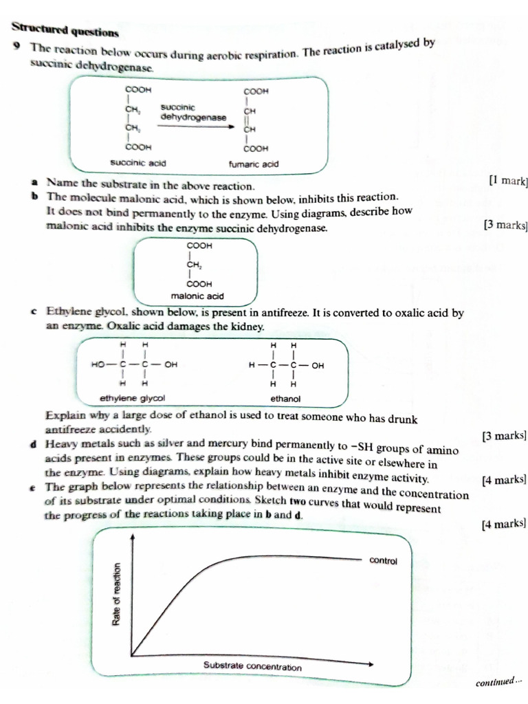 2024 Tutorial Review | PDF
