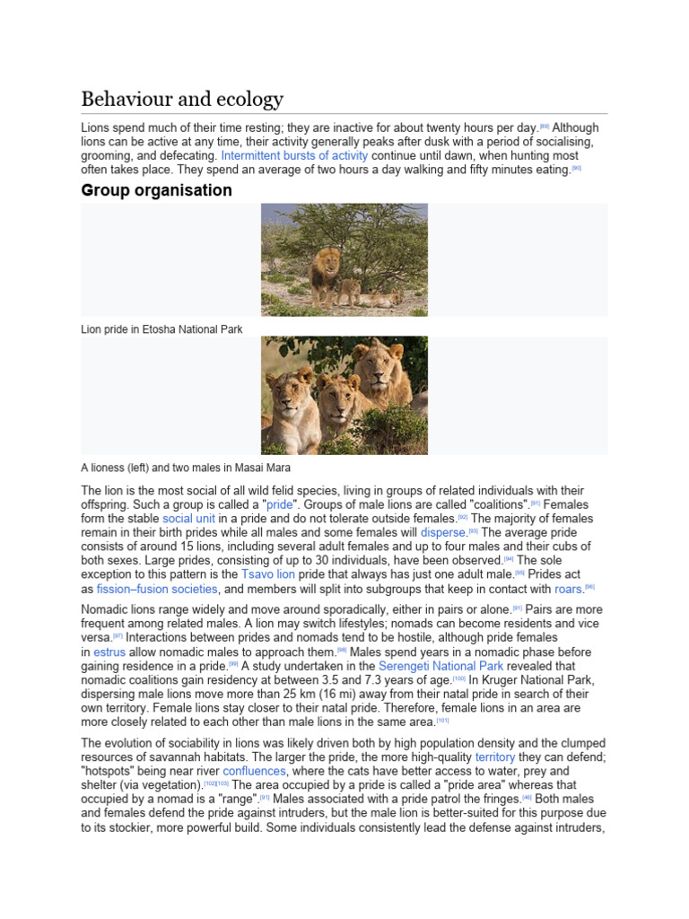behaviour and ecology | PDF | Lion | Zoology