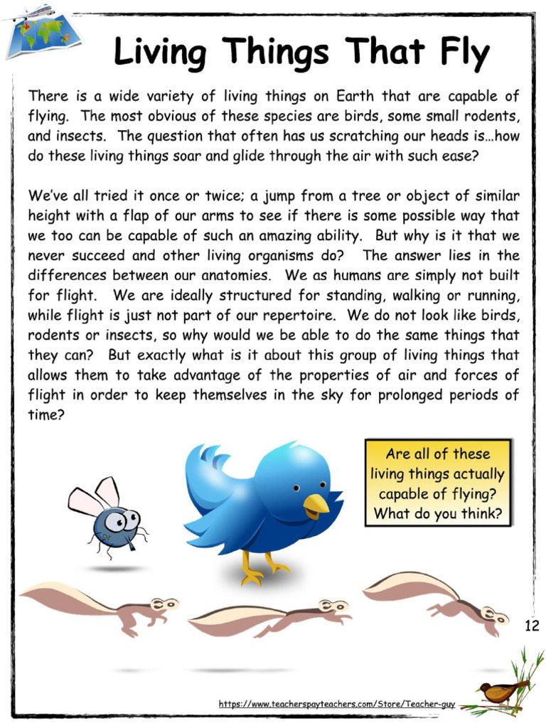Lesson 4 - Living and Non-Living Things That Fly | PDF