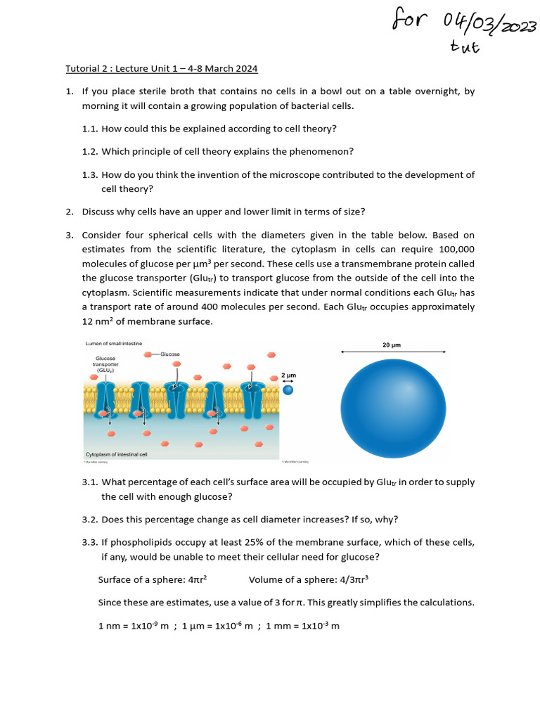 MLB 111 - Lecture Unit 1 Tutorial | PDF | Cell (Biology) | Cell Membrane