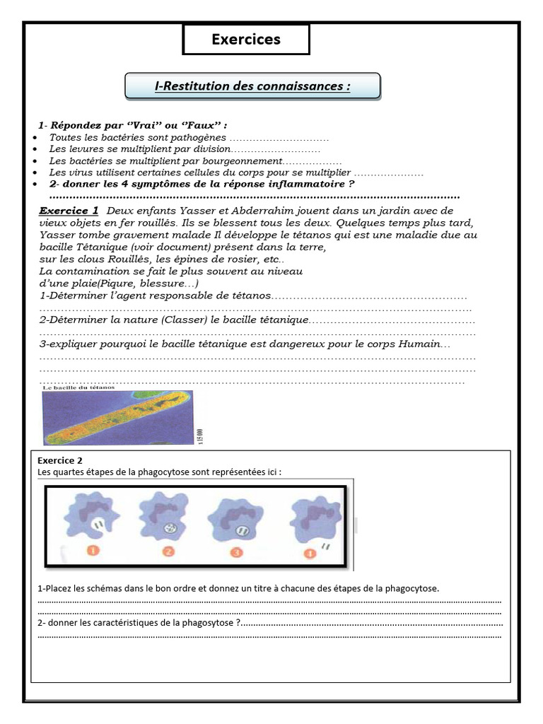 Les-microbes-exercices-SVT-3AC-1 - Pour Fusion | PDF