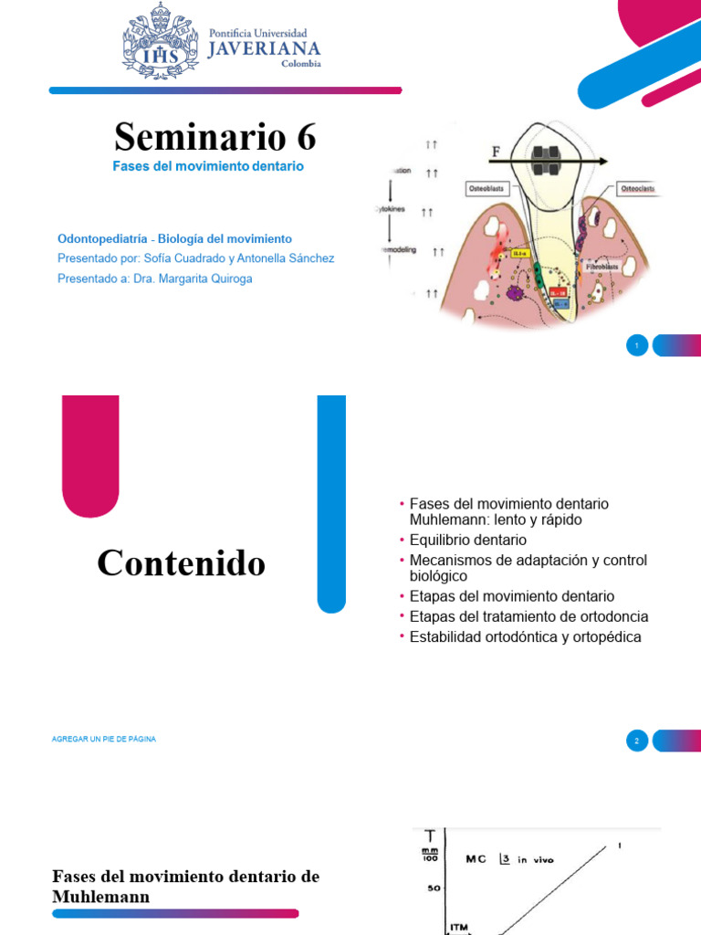 Seminario 6 PARTE ANTO | PDF | Anatomia dental | Boca