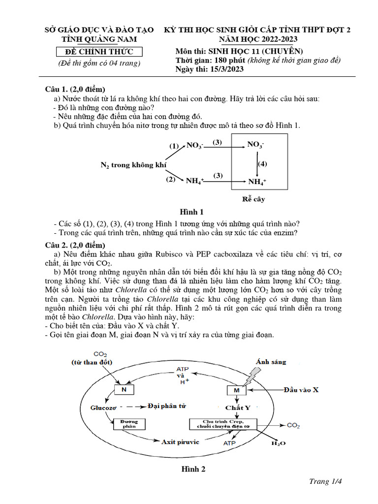 De HSG Tinh Sinh Hoc 11 Chuyen Dot 2 Nam 2022 2023 So GDDT Quang Nam | PDF