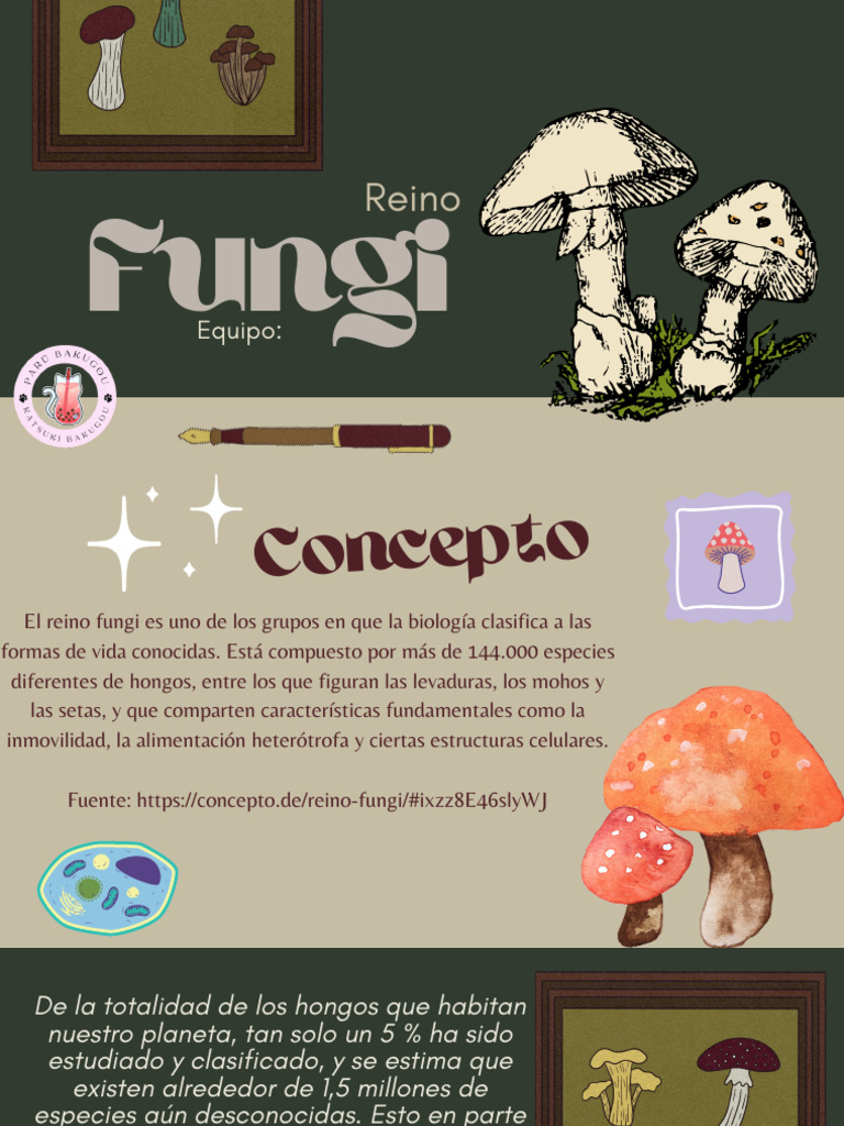 Reino Fungi Presentation - 20230922paru - Hoshino - 0000 | PDF | Hongo ...