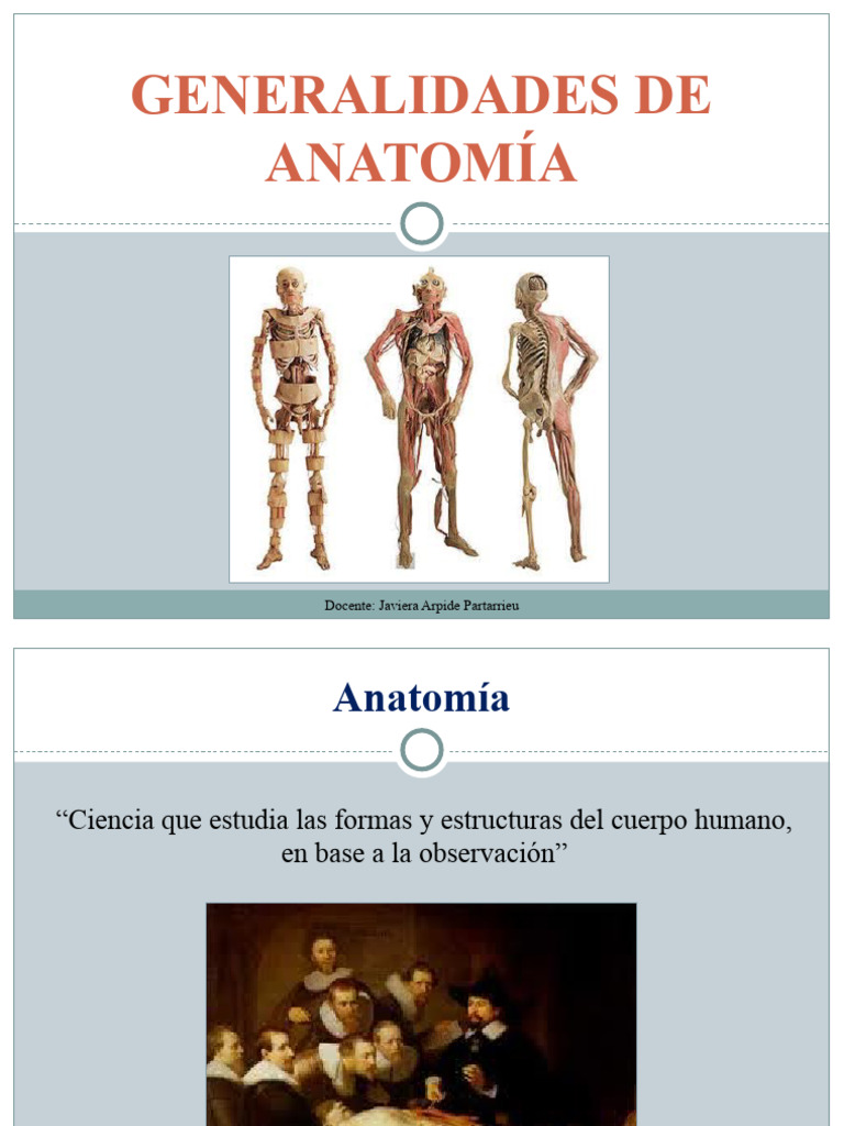 Anatomía Descriptiva General | PDF | Articulación | Términos anatómicos ...