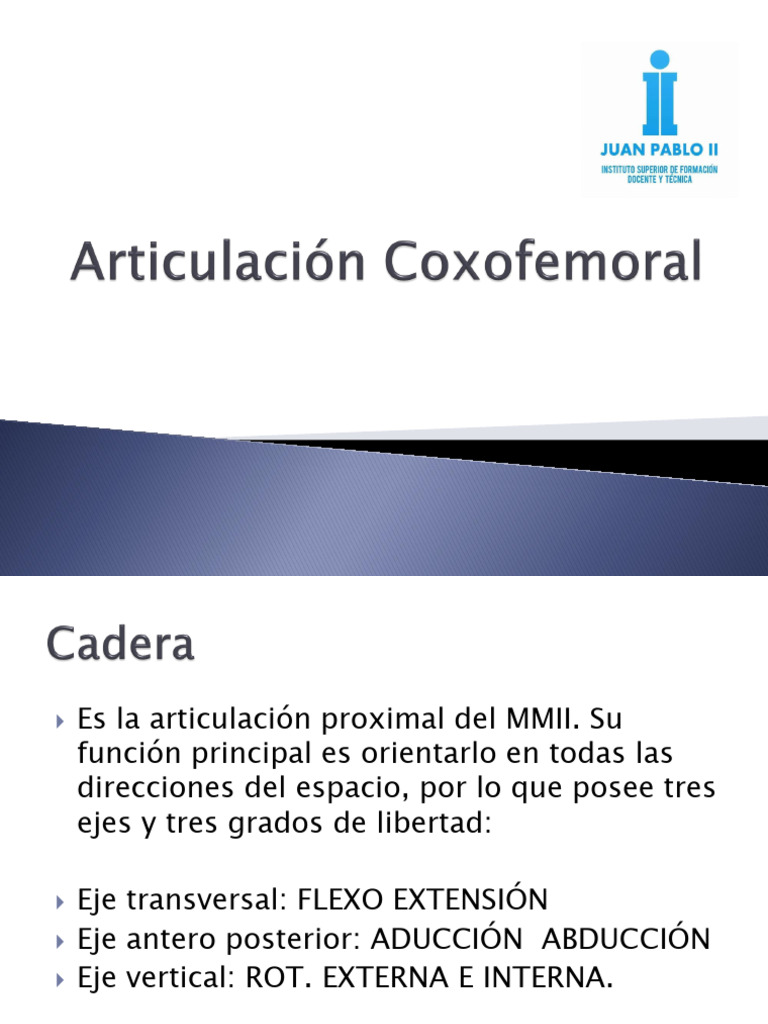 Articulación Coxofemoral | PDF