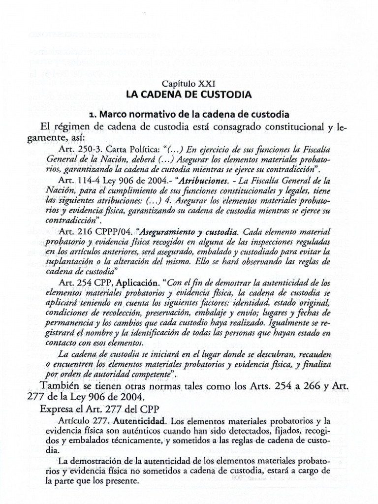Cadena de Custodia | PDF