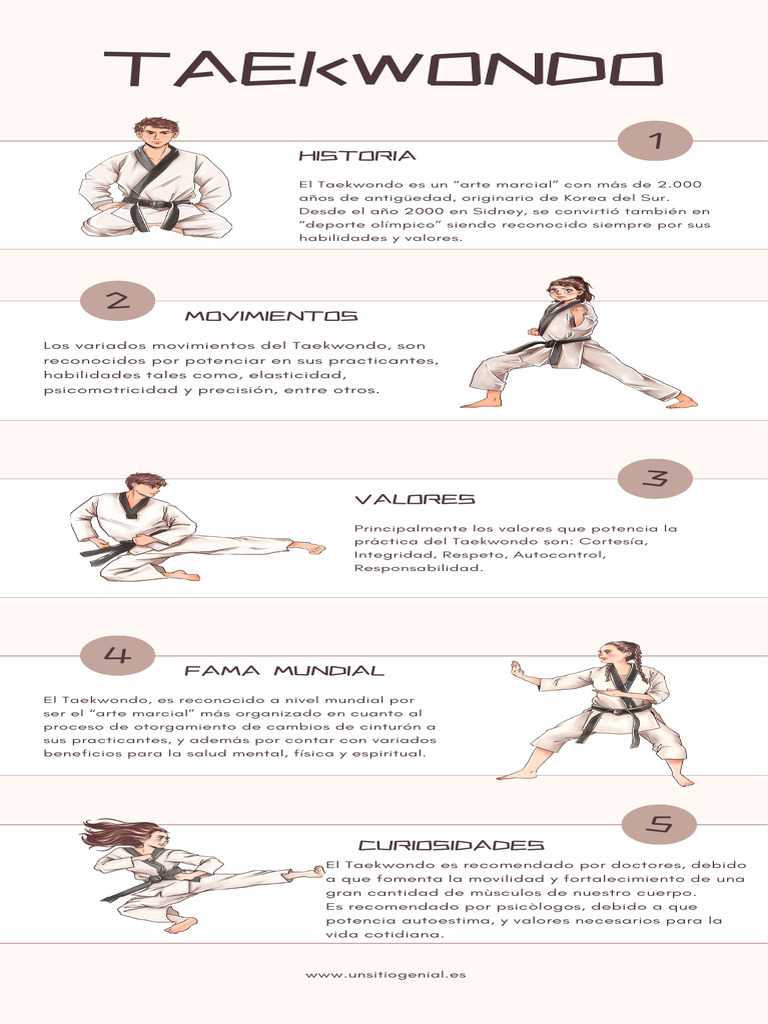 Infografía Taekwondo Ilustrativo Marrón | PDF