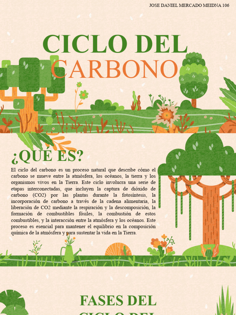 Ciclo Del Carbono | PDF | Ciclo del carbono | Dióxido de carbono