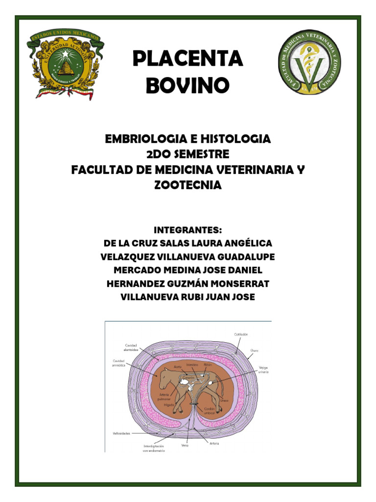 PLACENTA | PDF | Placenta | Feto