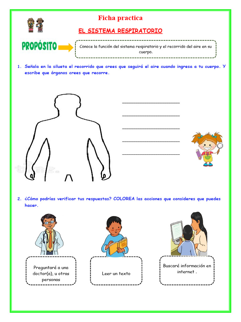 FICHA SISTEMA RESPIRATORIO | PDF