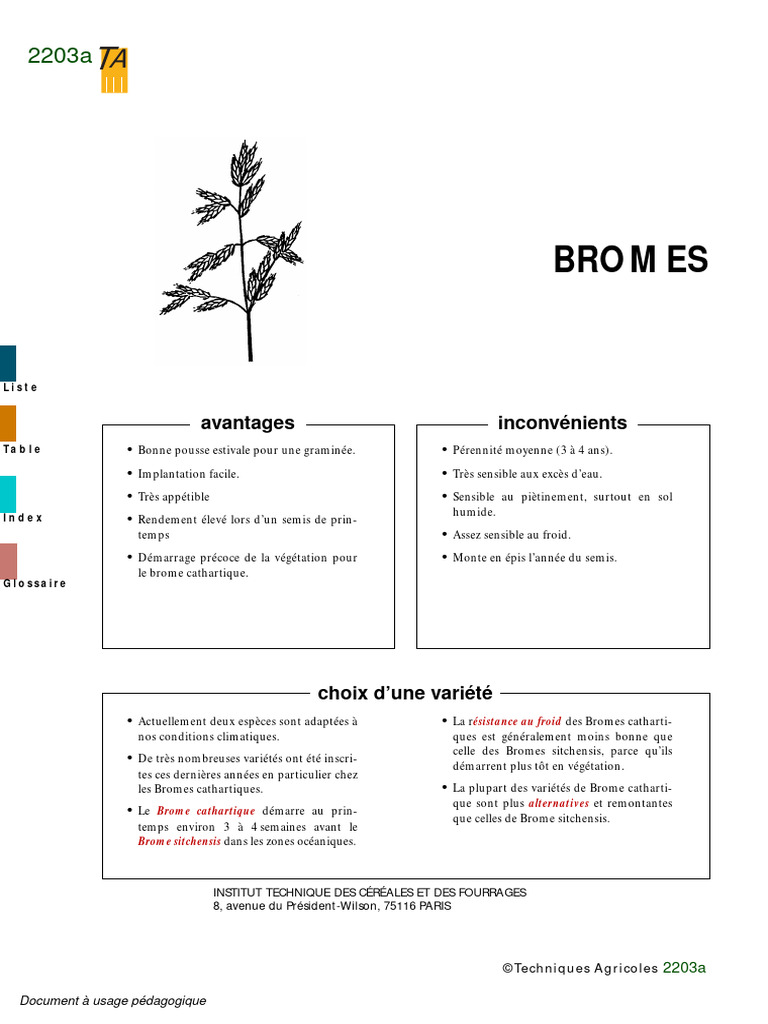 Culture et exploitation des bromes | PDF | Prairie | Horticulture