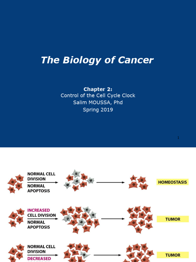 CH II-Cell Cycle Control | PDF | Cell Cycle | Molecular Biology