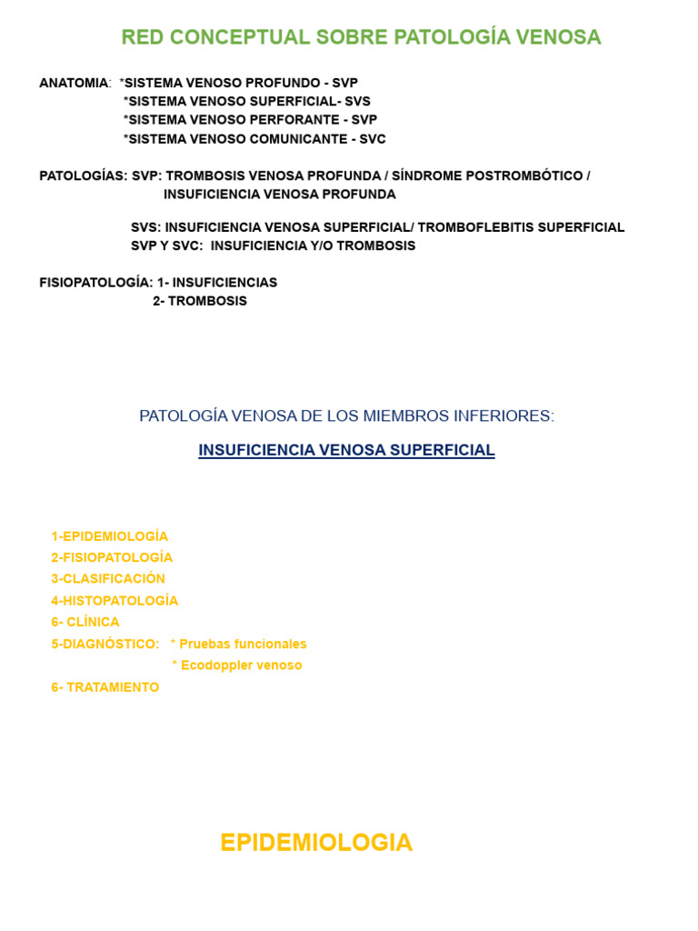 Patología Venosa De Los Miembros Inferiores Pdf