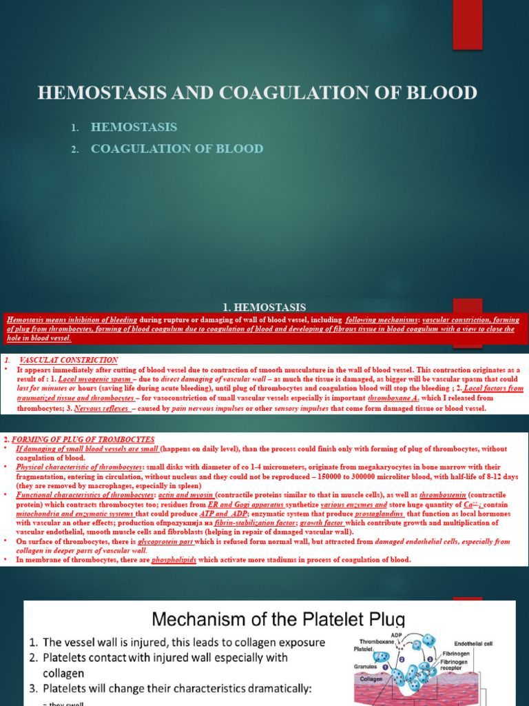 19 Hemostsis and Coagulation | PDF | Coagulation | Platelet