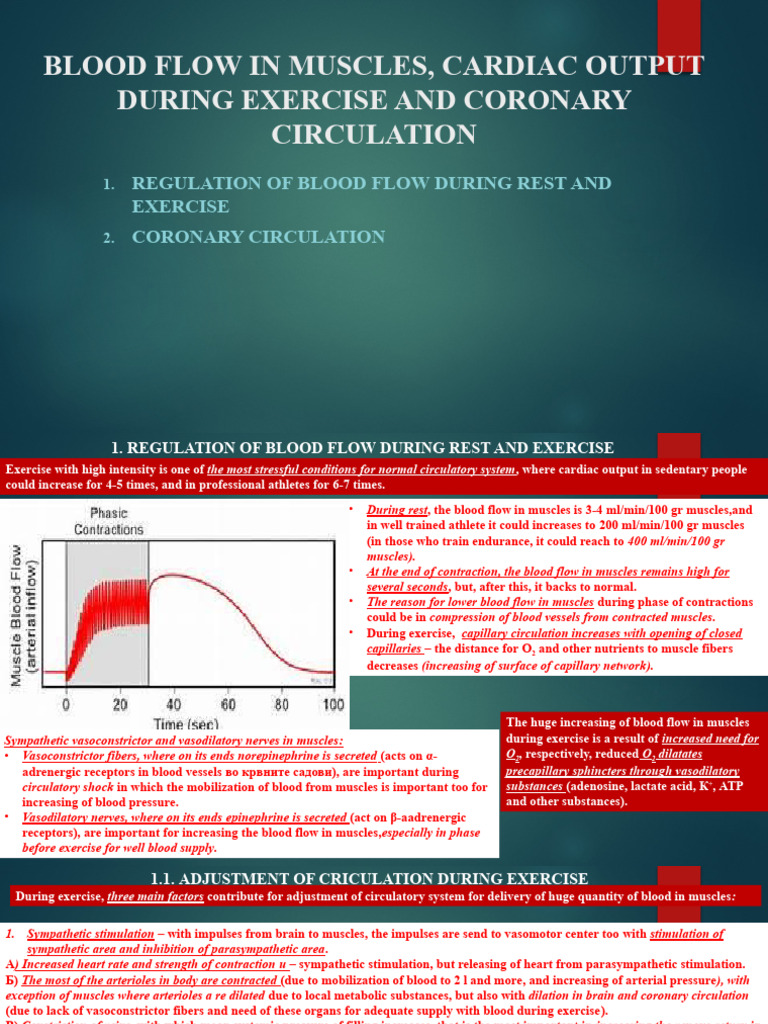 Blood Flow and Cardiac Output in Exercise | PDF | Coronary Circulation ...