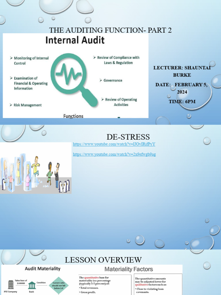 Unit 3 Auditing Function Part 2 | PDF