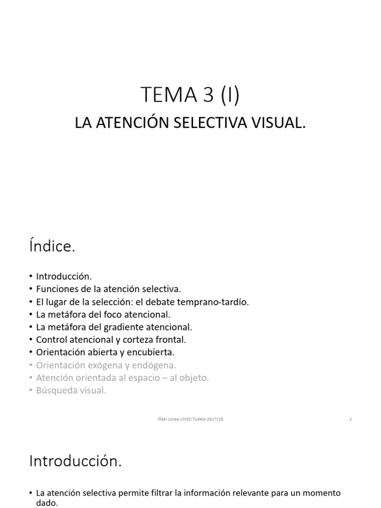 Atención Selectiva Visual en Tudela | PDF | Atención | Conceptos ...