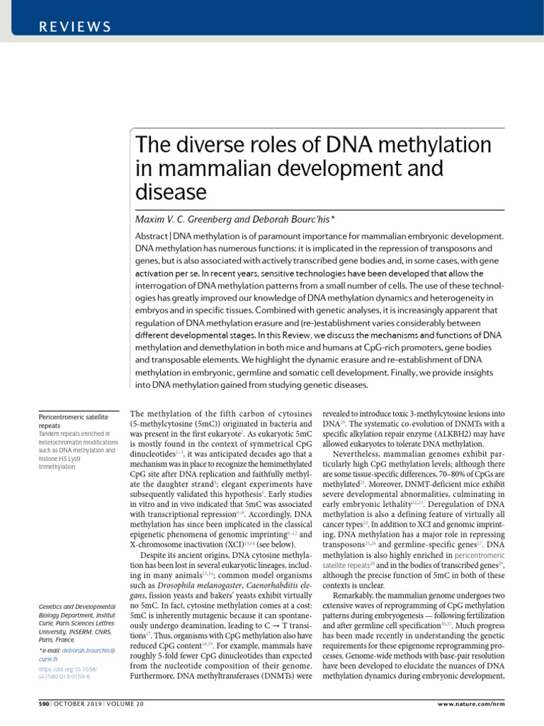 The Diverse Roles of DNA Methylation in Mammalian Development and Disease | PDF | Dna ...