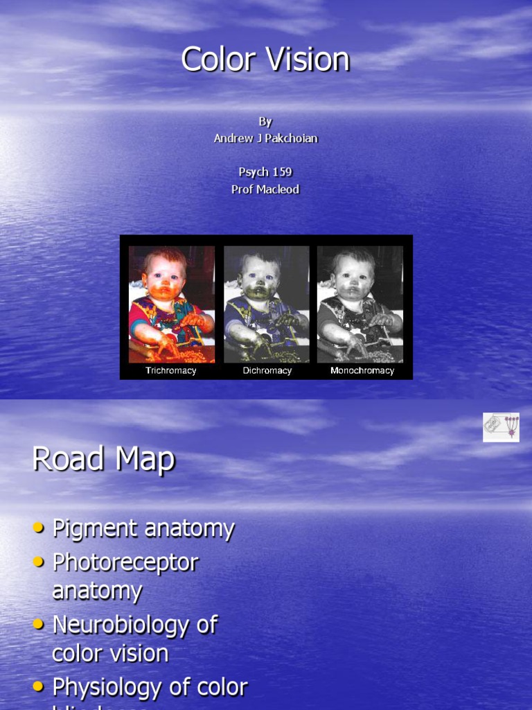 Color Vision: by Andrew J Pakchoian Psych 159 Prof Macleod | PDF ...