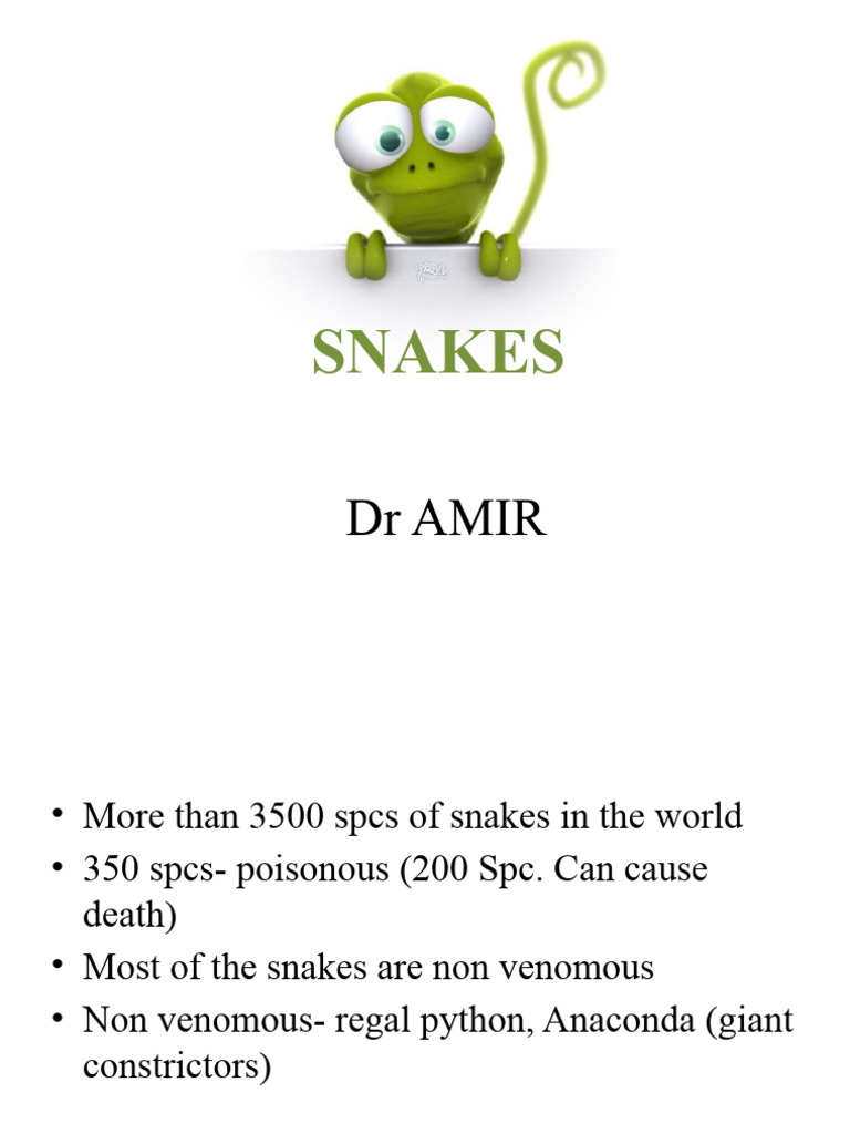 Snakes | PDF | Snake | Venomous Snakes