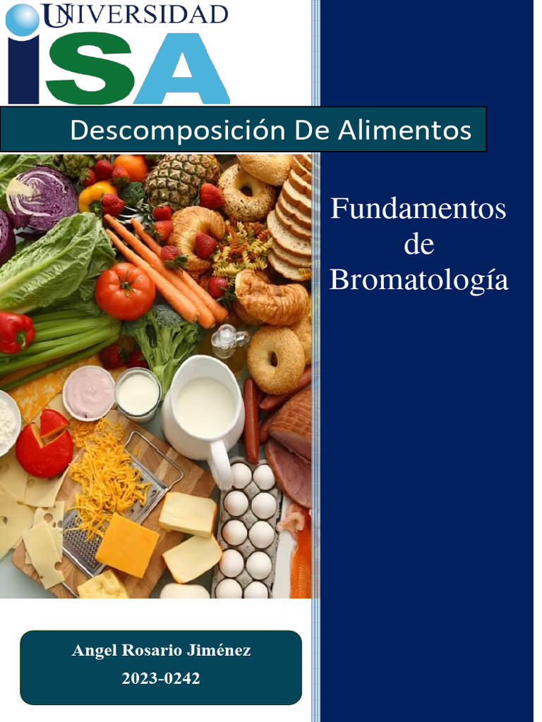 Alimentos en Descomposicion A08 | PDF | Cilantro | Queso