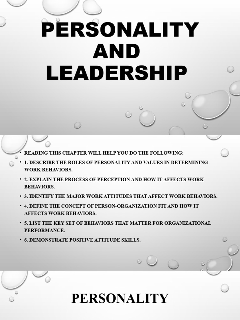 Chapter 6-PERSONALITY-AND | PDF | Job Satisfaction | Perception