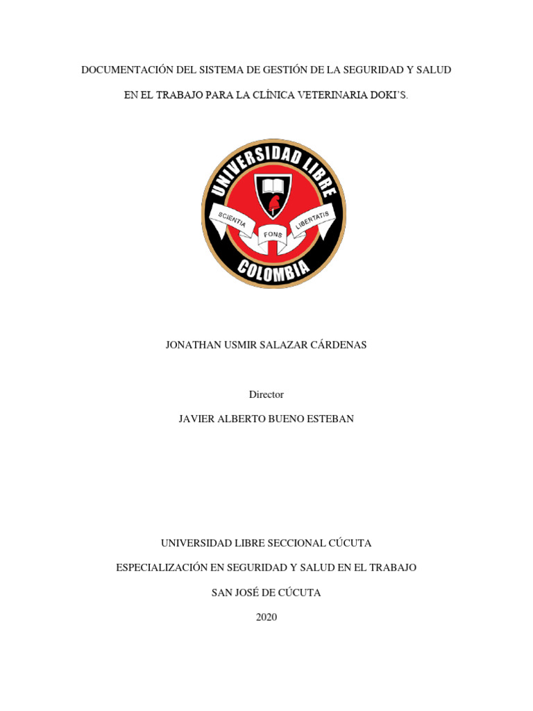 ARTICULO DOCUMENTACION SG-SST CVD V 3.0 (1) Aaa | PDF | Riesgo | Business
