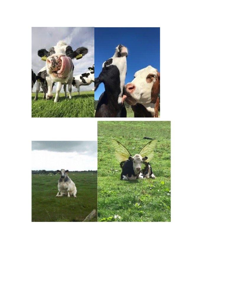 Vacas | PDF