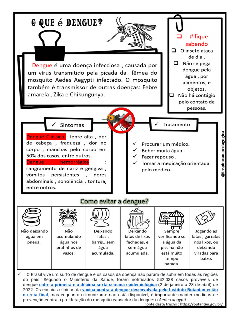 Infográfico Dengue | PDF | Especialidades médicas | Doenças e distúrbios