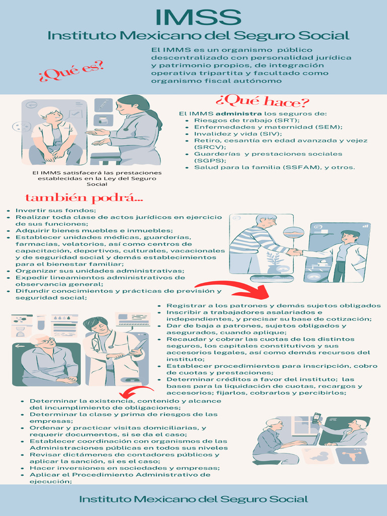 Infografía IMMS Corr. | PDF