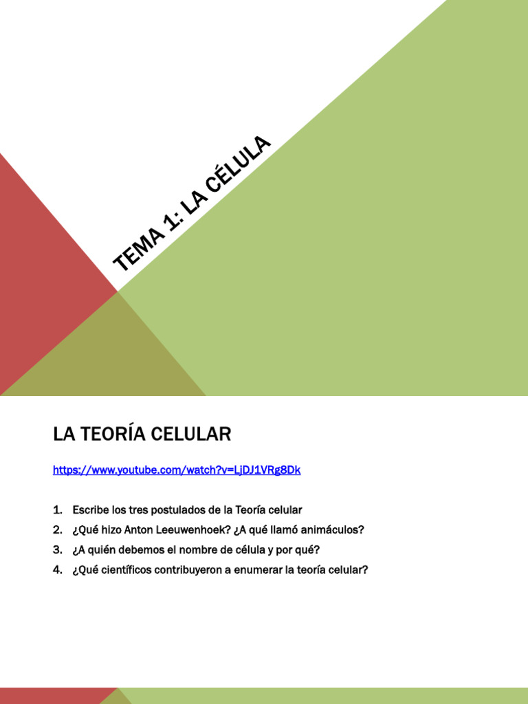 Teoría Celular y Tipos de Células | PDF | Biología Celular) | Citoplasma