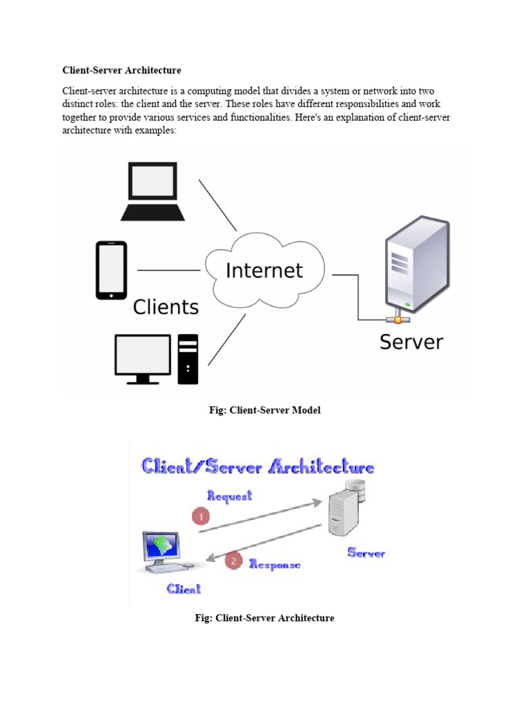 Understanding Client-Server Architecture | PDF | Client–Server Model | Dynamic Web Page
