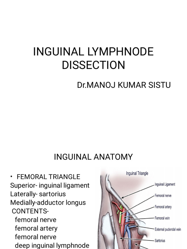 Inguinal Lymphnode Dissection 124623 Pdf Metastasis Anatomy