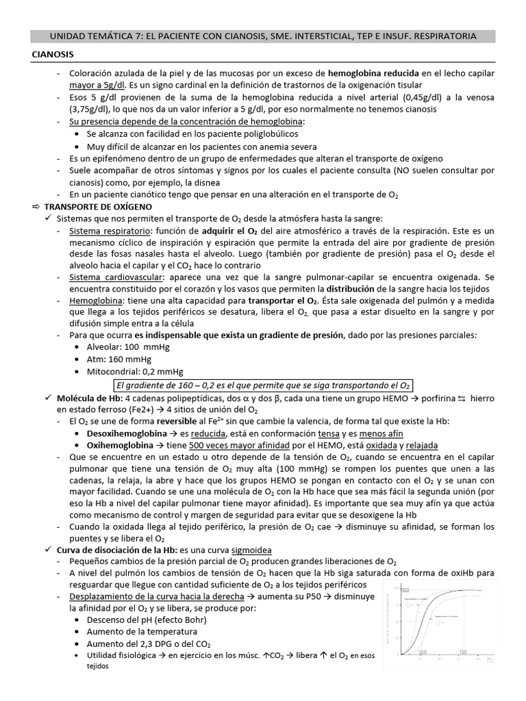 Unidad Temática 7 | PDF | Sistema respiratorio | Medicina CLINICA