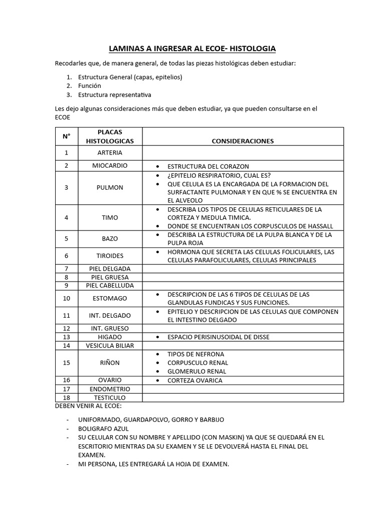 Ecoe Histologia 2 2023 | PDF | Riñón | Epitelio